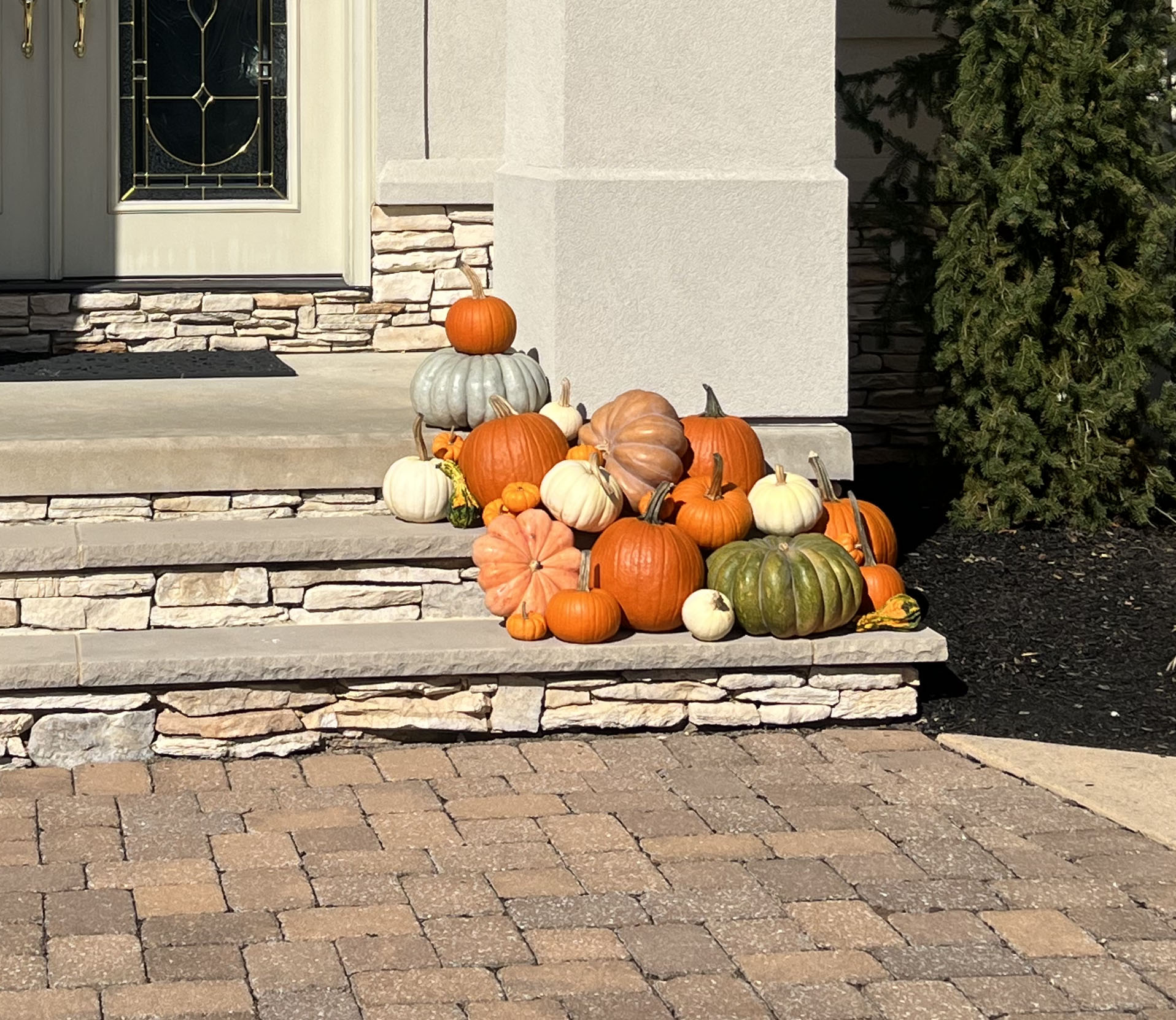 Pumpkin Spice - Pumpkin & Pine Co